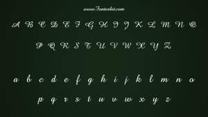 Amazone BT Font: Ideal for Elegant Typography