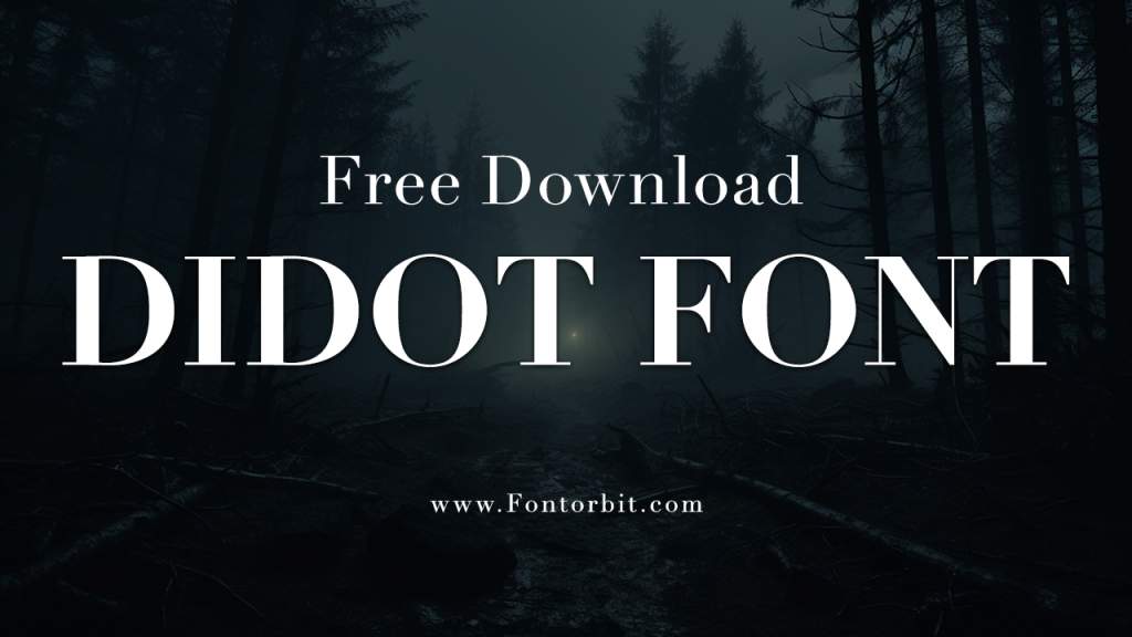 The Beauty Of Didot Font In Modern Design