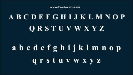 The Zen Of Times New Roman: Simple And Perfect