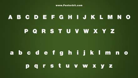 Jeep Font: Helvetica Bold – The Iconic Typeface Behind The Brand