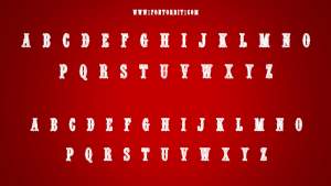 49ers Font: A Stylish Typeface for Your Designs