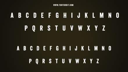 Why Choose Veneer Font For Stunning Designs
