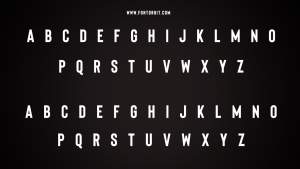 Bison Font Modern Typeface for Bold Designs