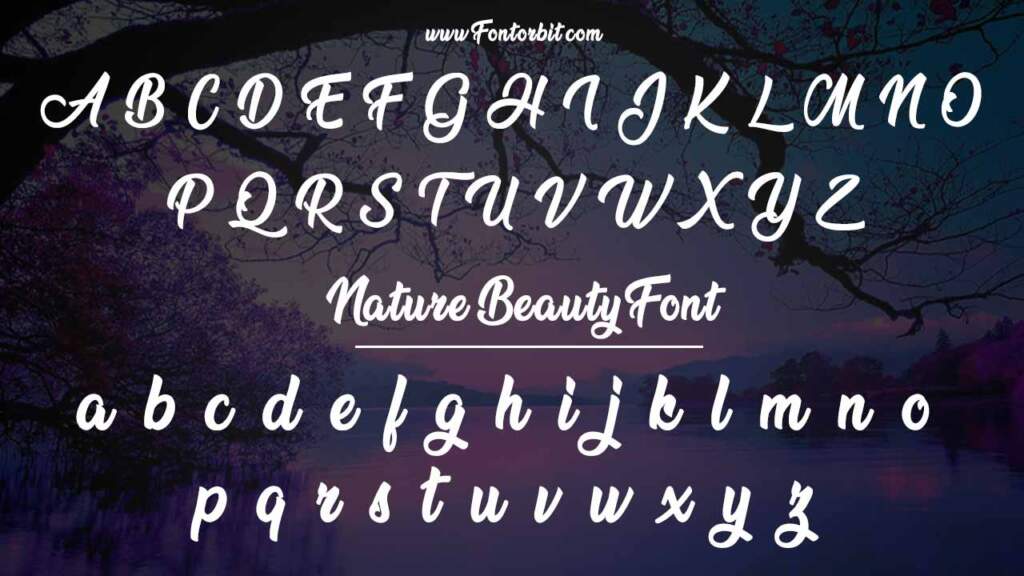 Nature Beauty Font – Elegant Script for Branding & Design